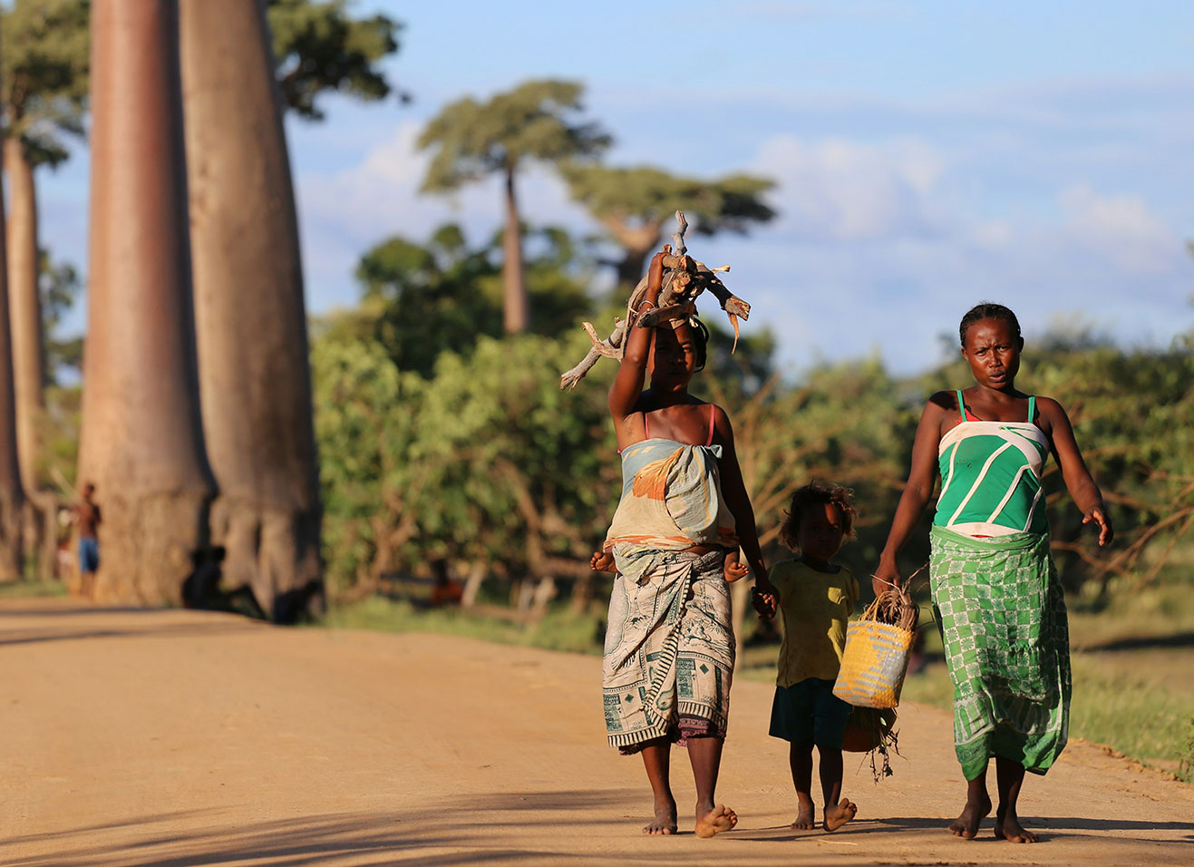 Davy MARECHAL – Experience the wonders of Madagascar